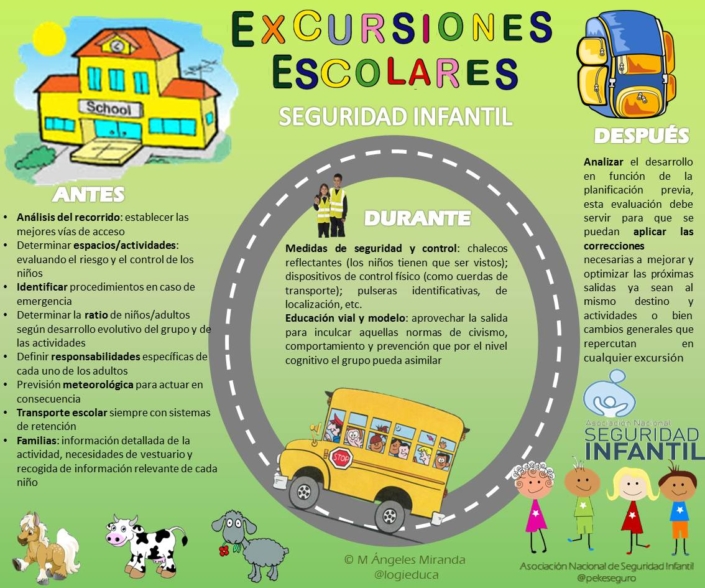 Seguridad infantil en excursiones y salidas escolares - Seguridad Infantil